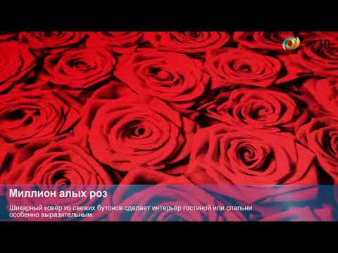 3D фотообои 'Миллион алых роз'