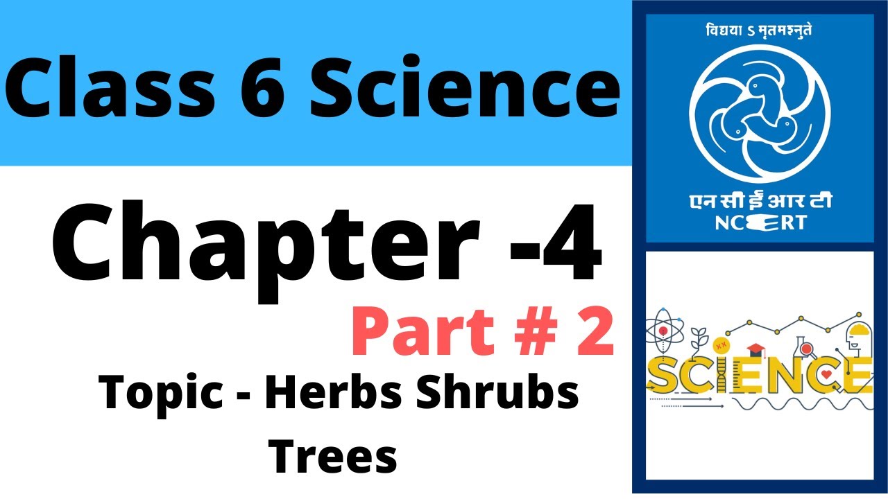 NCERT Book | Class 6 | Science | Chapter 4 | Getting to Know Plants ...