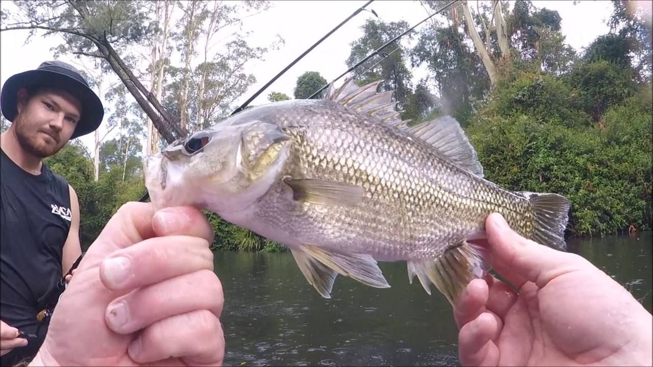 Australian Bass Surface Fishing - YouTube