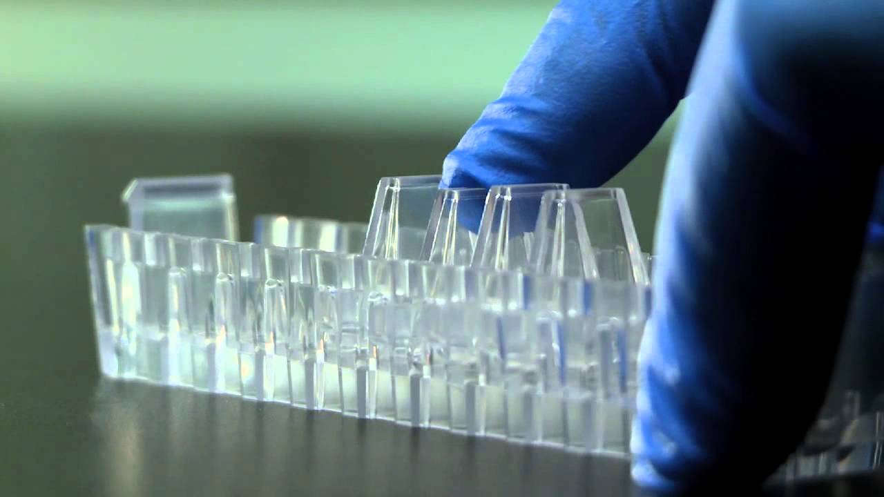 Loading the PROTEAN® i12™ IEF System - Gel-Side Up Cup Loading Assembly ...