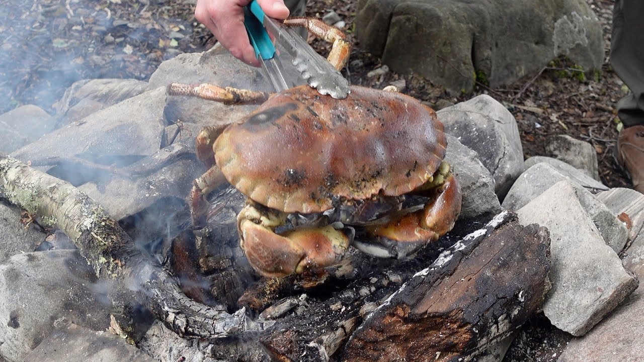 Scottish Seafood | Fire Roasted Crab Rolls and Scallops - YouTube