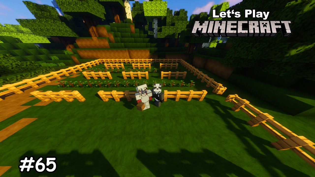 Minecraft | #65 | Die Eichenholzplantage Teil B - YouTube