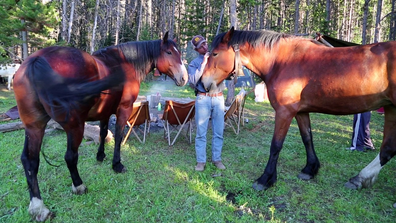 Triangle X Ranch - Pack Trips and Authentic Dude Ranch - YouTube