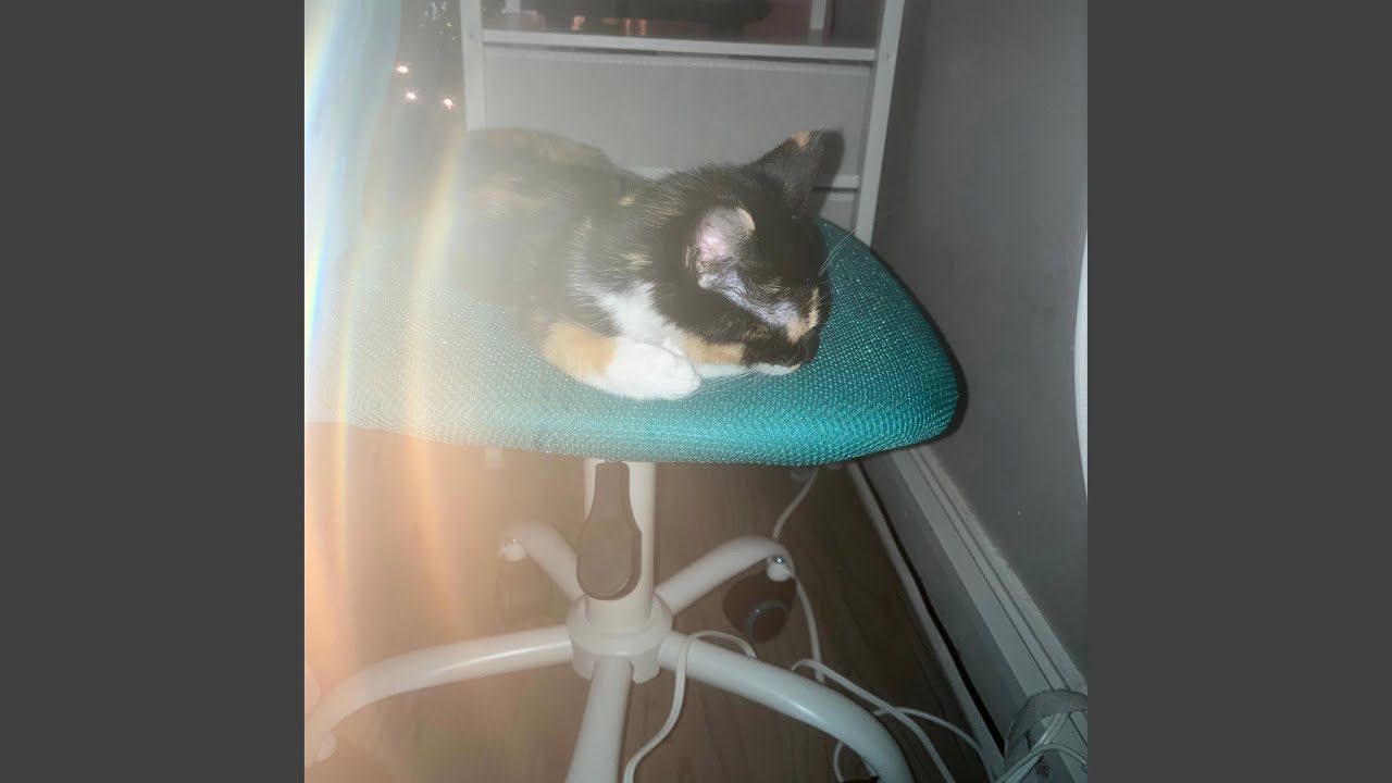 straight sharted - YouTube