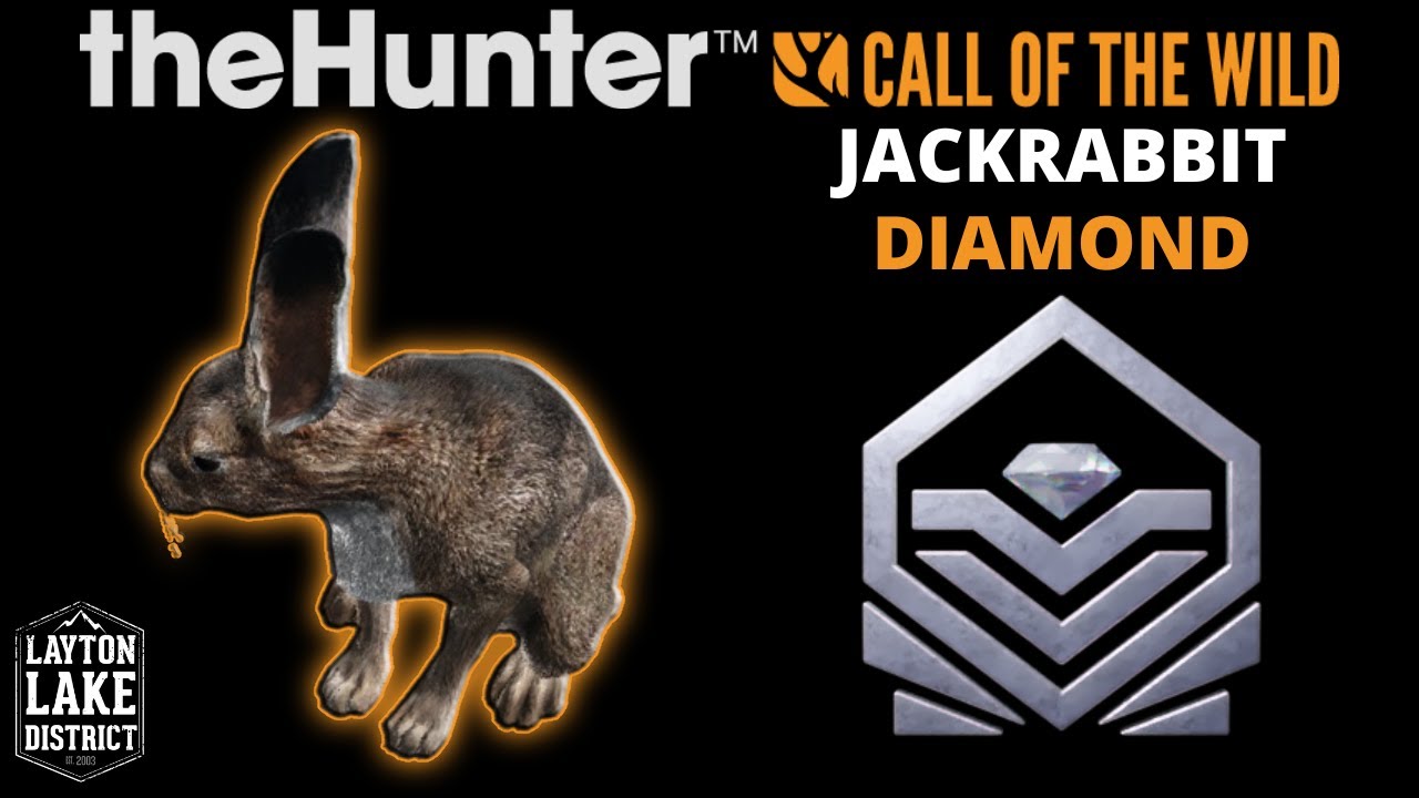 DIAMOND 😲 White-Tailed Jackrabbit (Light Brown) in theHunter Call of ...