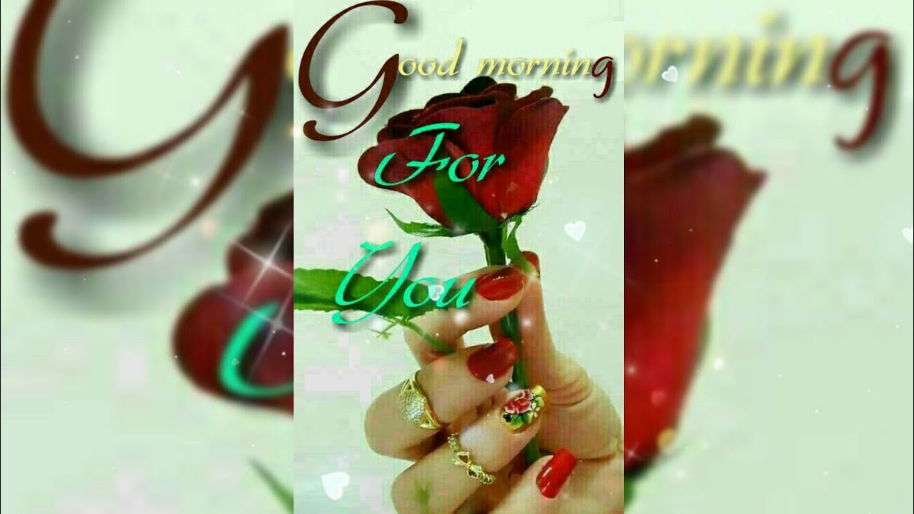 GOOD MORNING video - YouTube