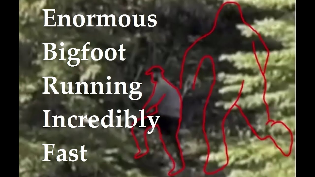New Proof Bigfoot is REAL! 10 foot tall Sasquatch video - YouTube
