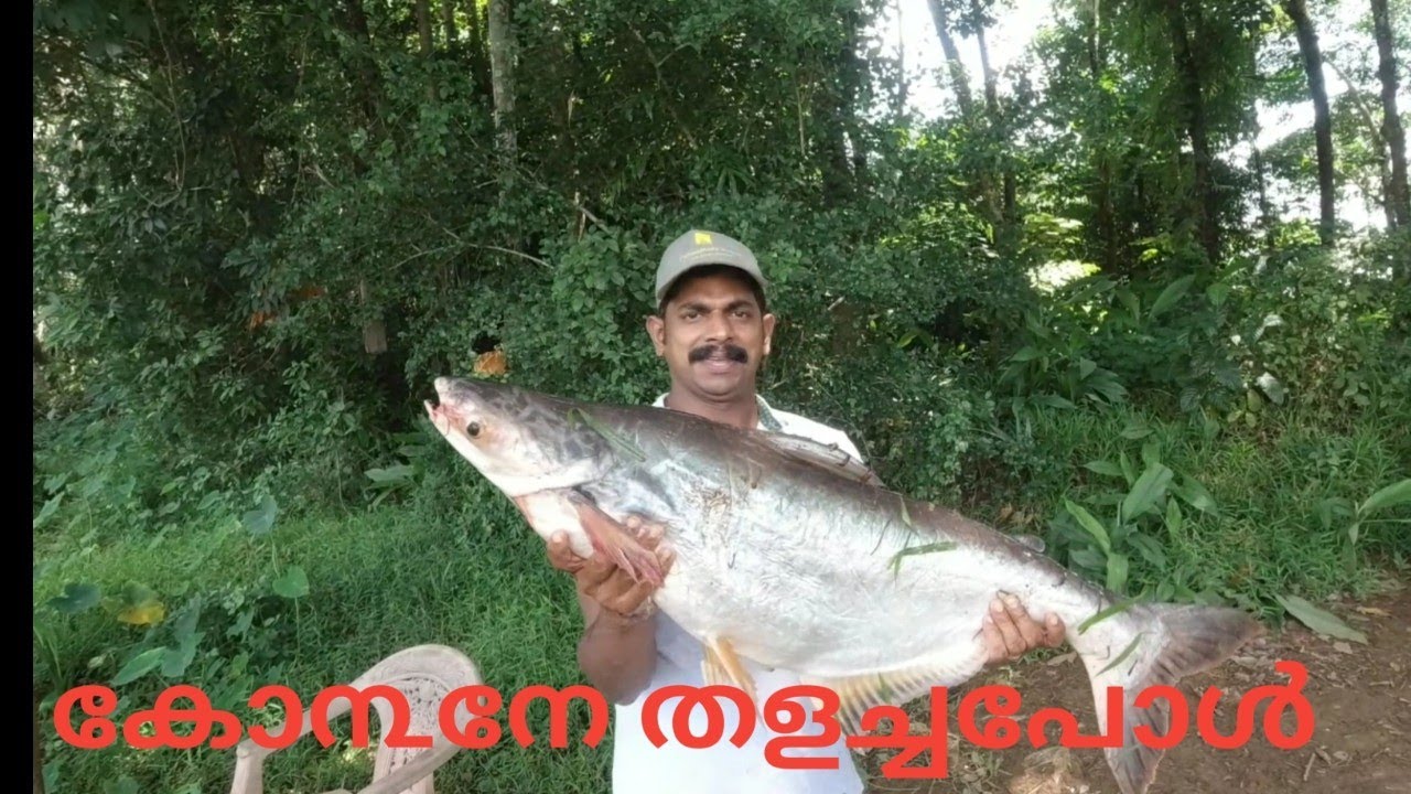 Vala fishing, Aliyans vlogs - YouTube