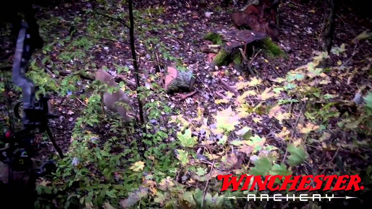 2014 whitetail frenzy trailer 1280x720 - YouTube