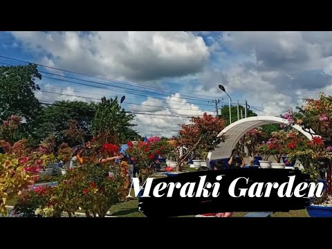 #Meraki Garden in Napaccu #Reina Mercedes Isabela - YouTube