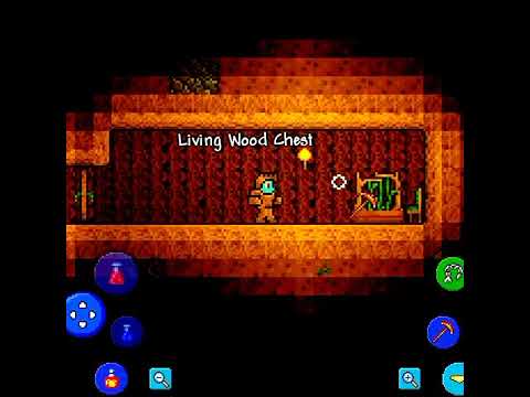 TERRARIA LIVING WOOD - YouTube