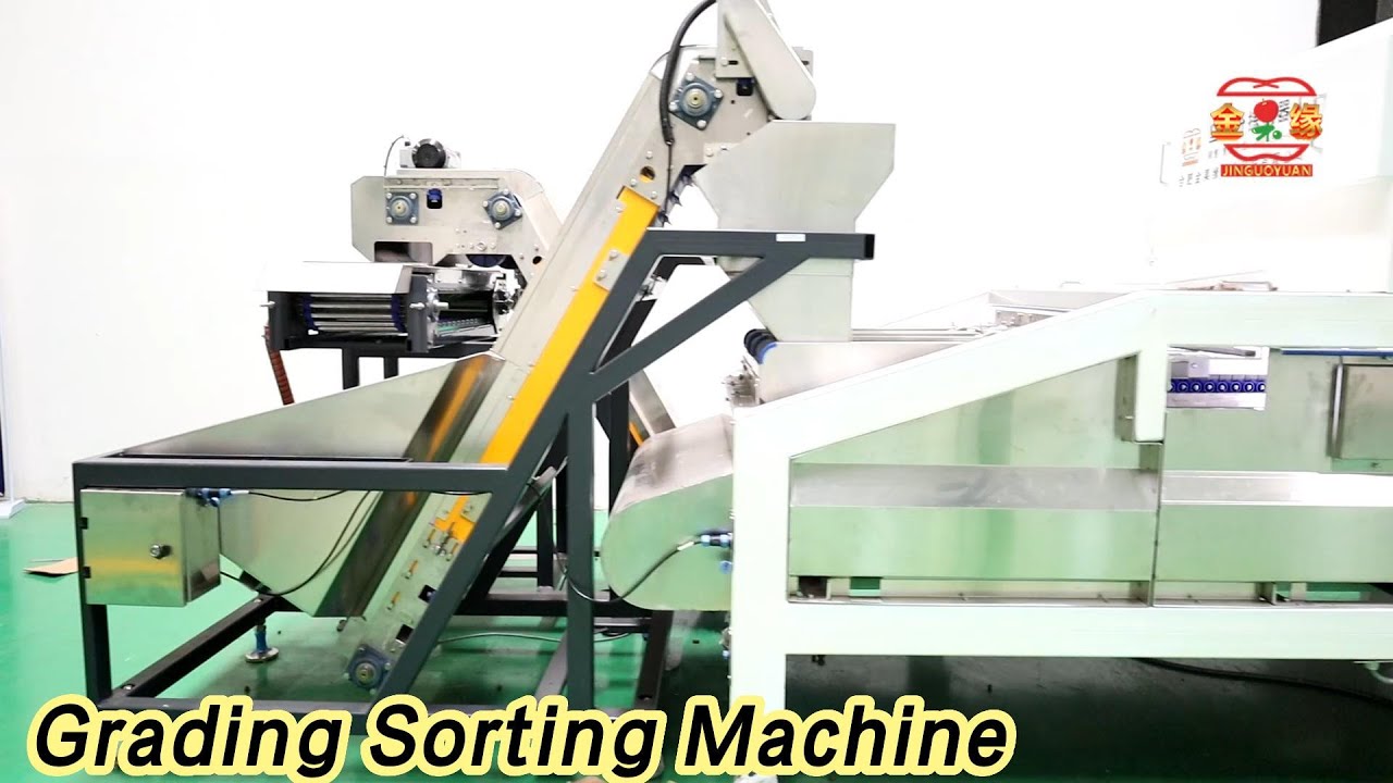 High Speed Grading Sorting Machine 6.3KW 6 Channel For Dates / Hawthorn ...