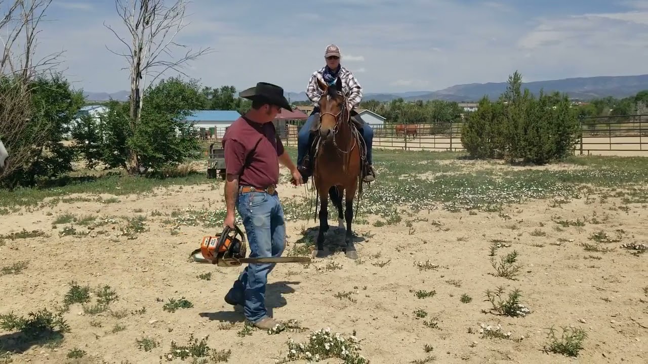 SCW Go Boys Leroy Brown follow saw 6 20 2021 - YouTube