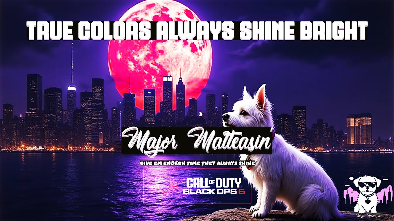 True Colors Always Shine Bright ️ | Black Ops 6 | You're Not Supposed ...