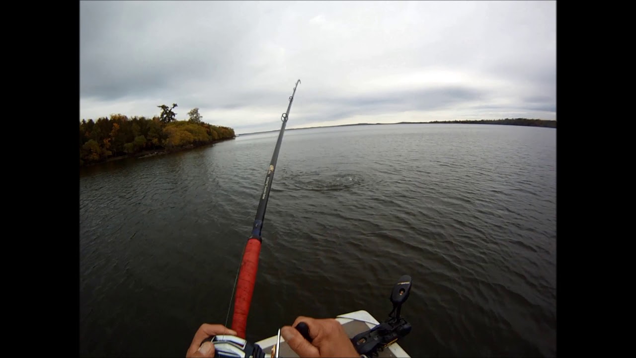 Pops scores his first on topwater a nice low 40's - YouTube