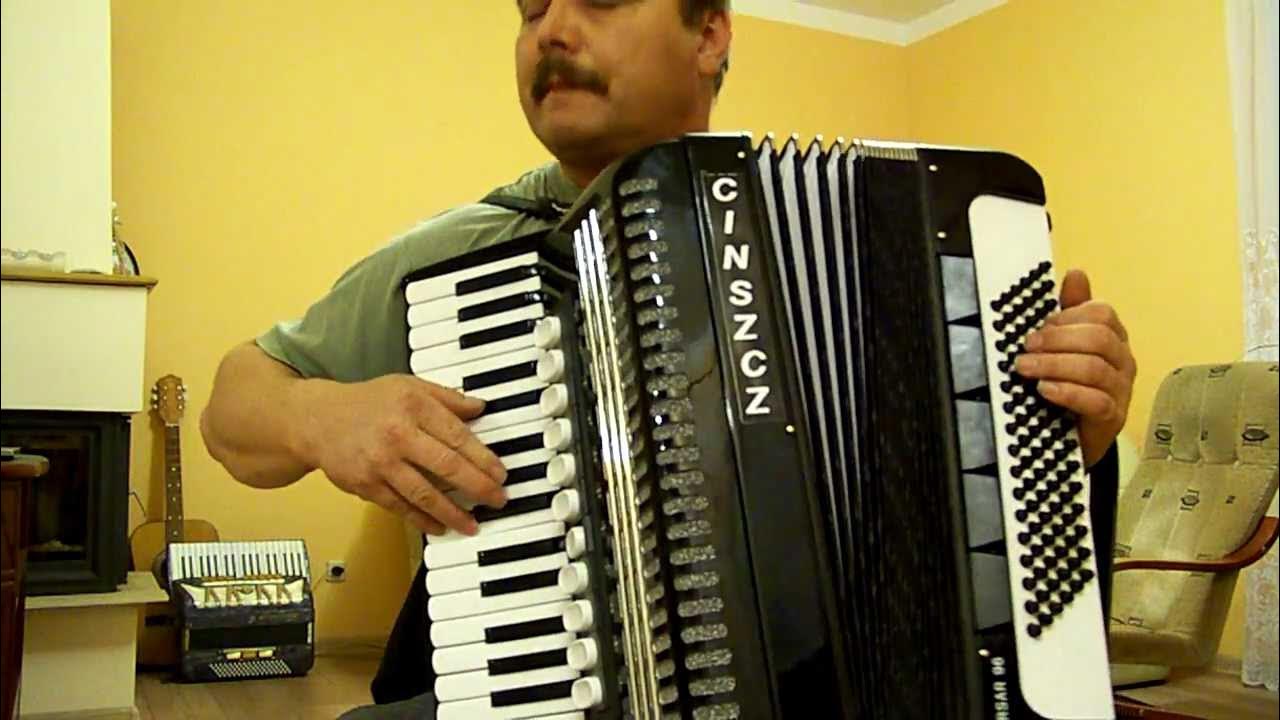 Chryzantemy zlociste - YouTube