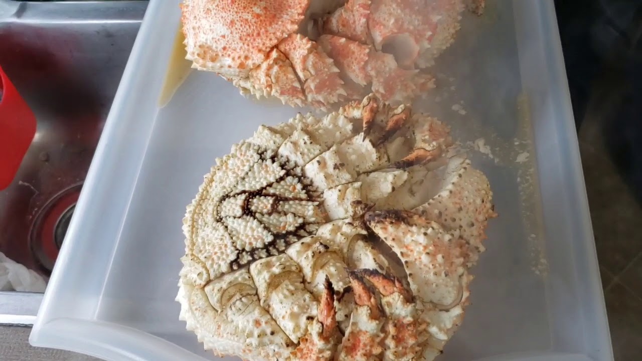 Father's Day cooking ~~ box crab - YouTube