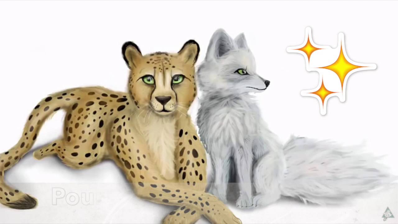 INTRO 4 (grâce a Foxiine!) - YouTube