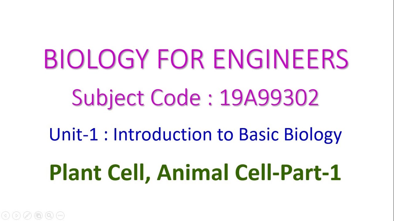 Plant cell and animal cell part 1, Introduction to Basic Biology ...