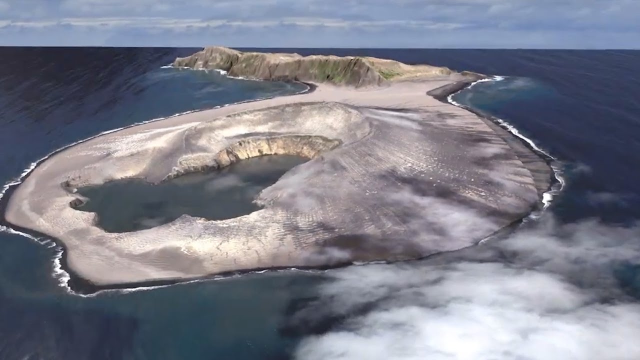 Descubren nuevas formas de vida en isla desaparecida tras erupción ...