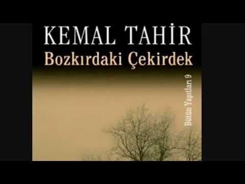 Kemal Tahir \