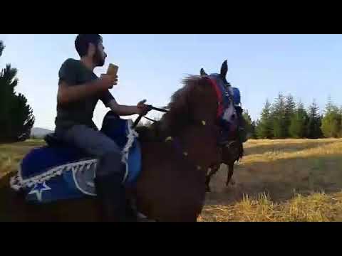 Uşak At yetiştirme kosturma