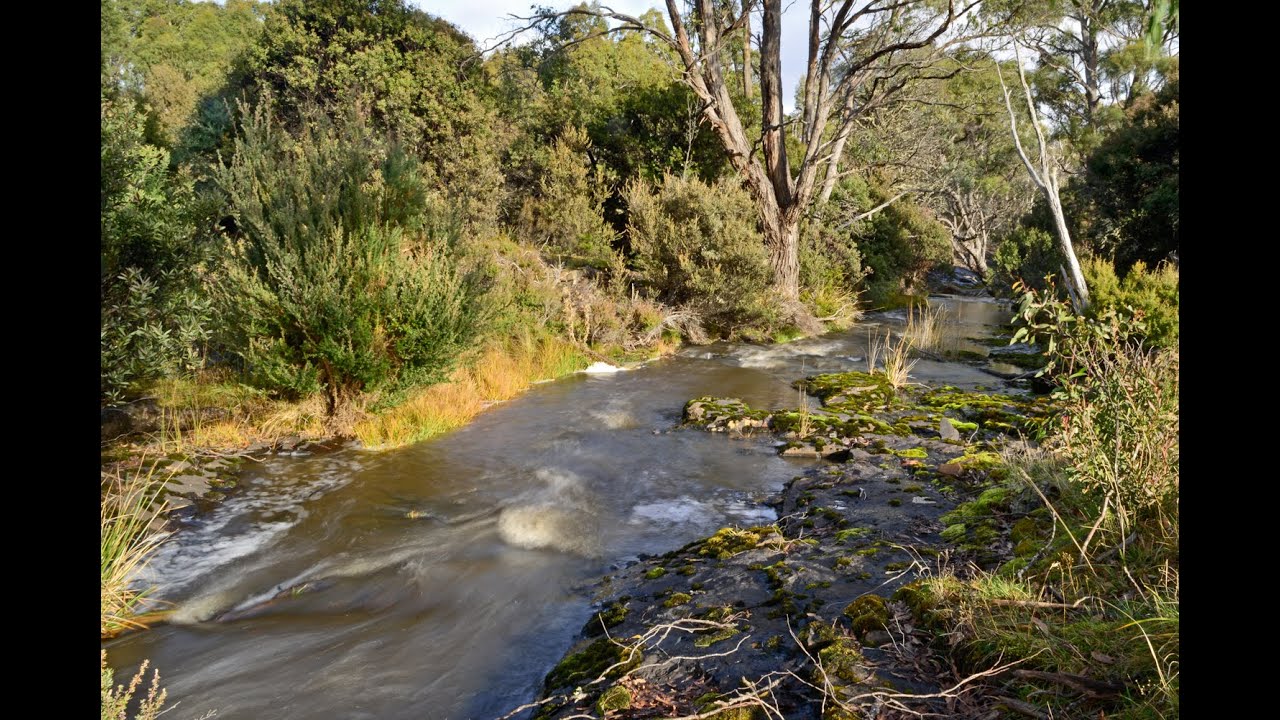 Lot 1, 2399 Victoria Valley Rd Victoria Valley - YouTube