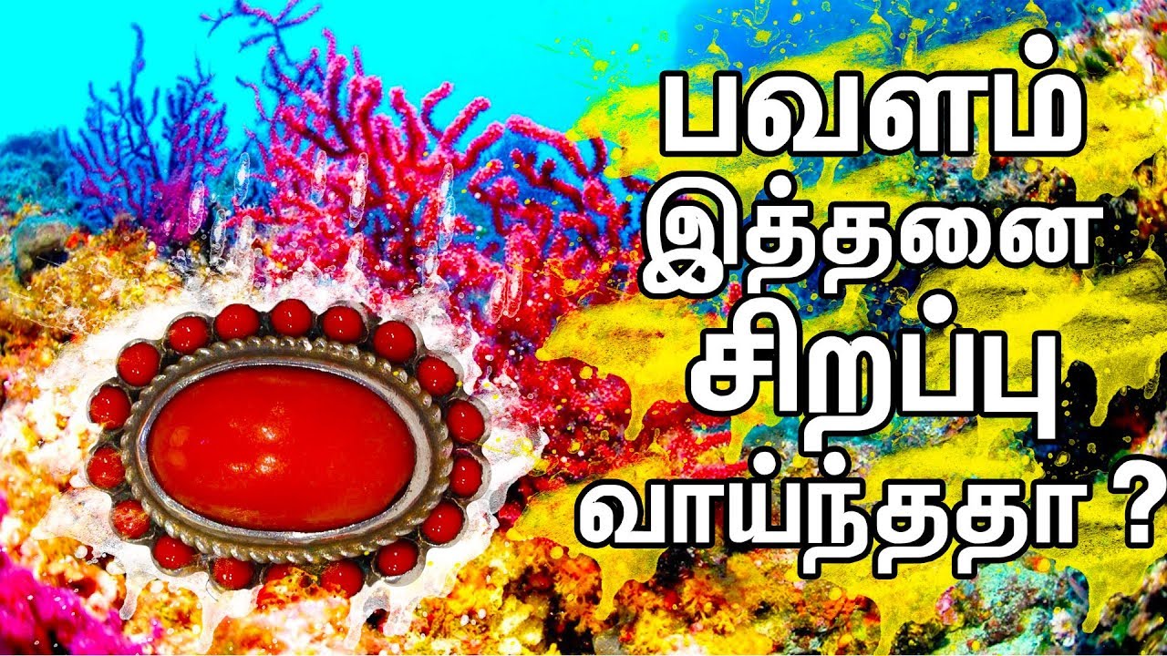 ஆஹா!சங்க இலக்கியங்களில் இத்தனை சிறப்பு வாய்ந்ததா பவளம் ? #செம்பவளம்#RED ...