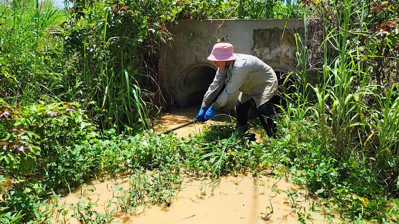 Waste Away Strategies for Clearing Culvert Drains and Removing Debris ...