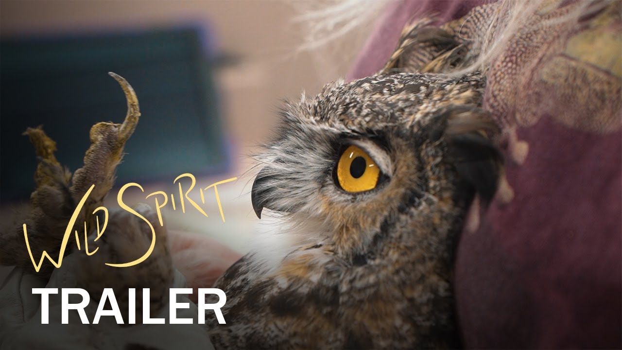 WILD SPIRIT Official Trailer - YouTube