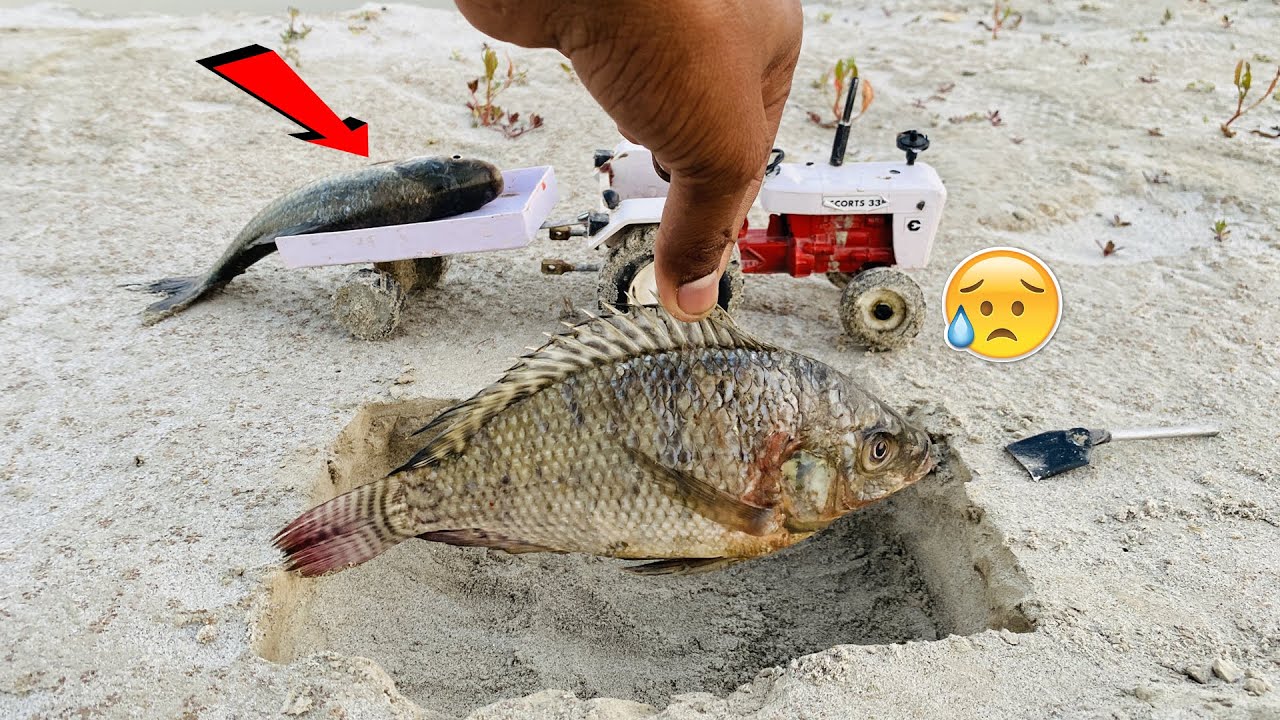 Fish 🐟🐟 Helping New video | tractor cartoon video | tractor science ...