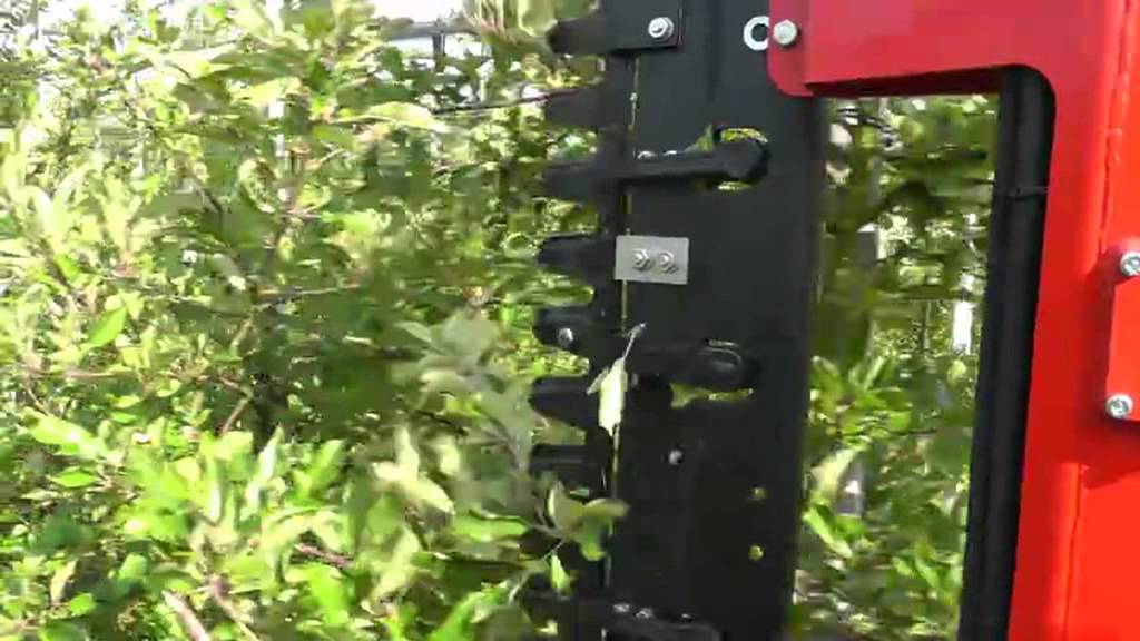 mechanische snoei - YouTube