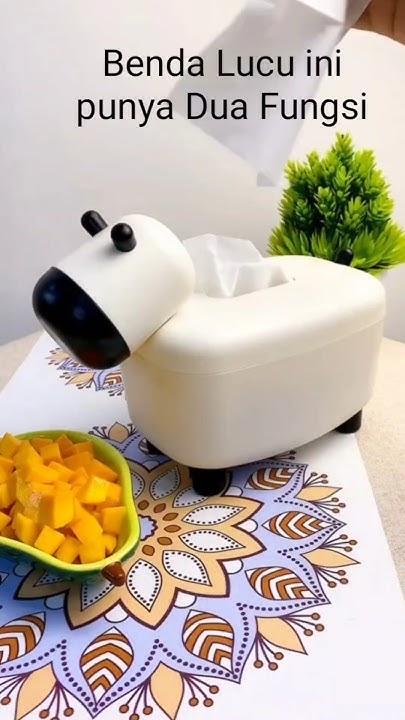 Benda Lucu yang Wajib di Miliki di Meja Makan Rumah - YouTube