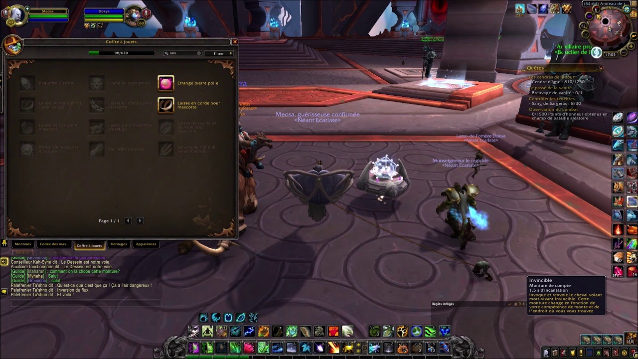 Doky the slacker - legendary pet - YouTube