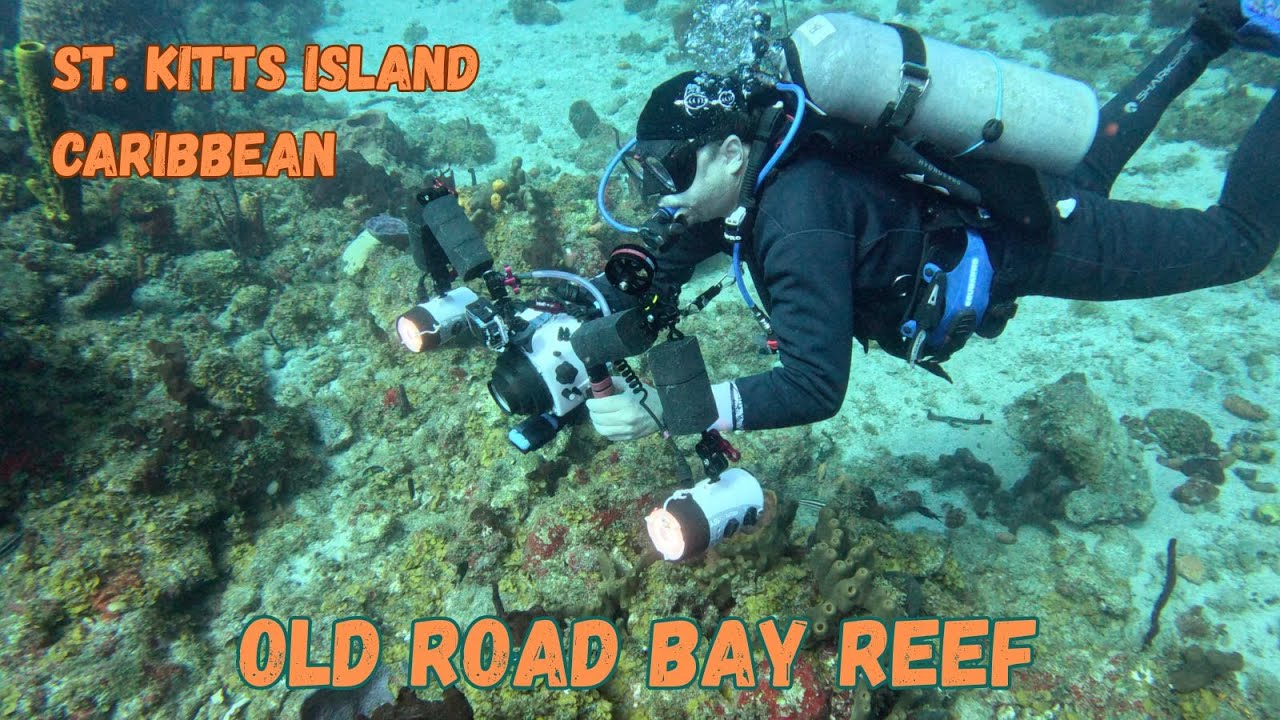 SCUBA Dive at Old Road Bay Reef, St. Kitts Island, Caribbean. - YouTube