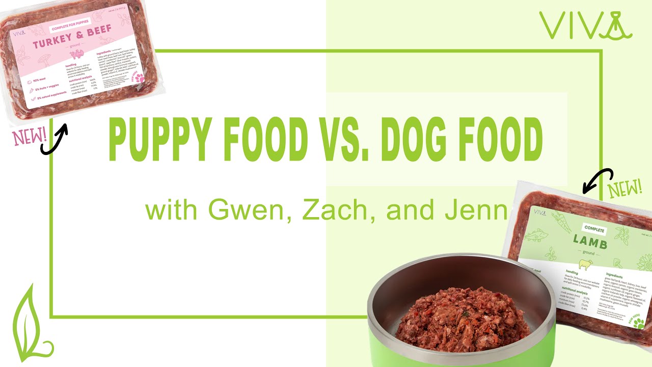 Puppy Food vs Dog Food - YouTube
