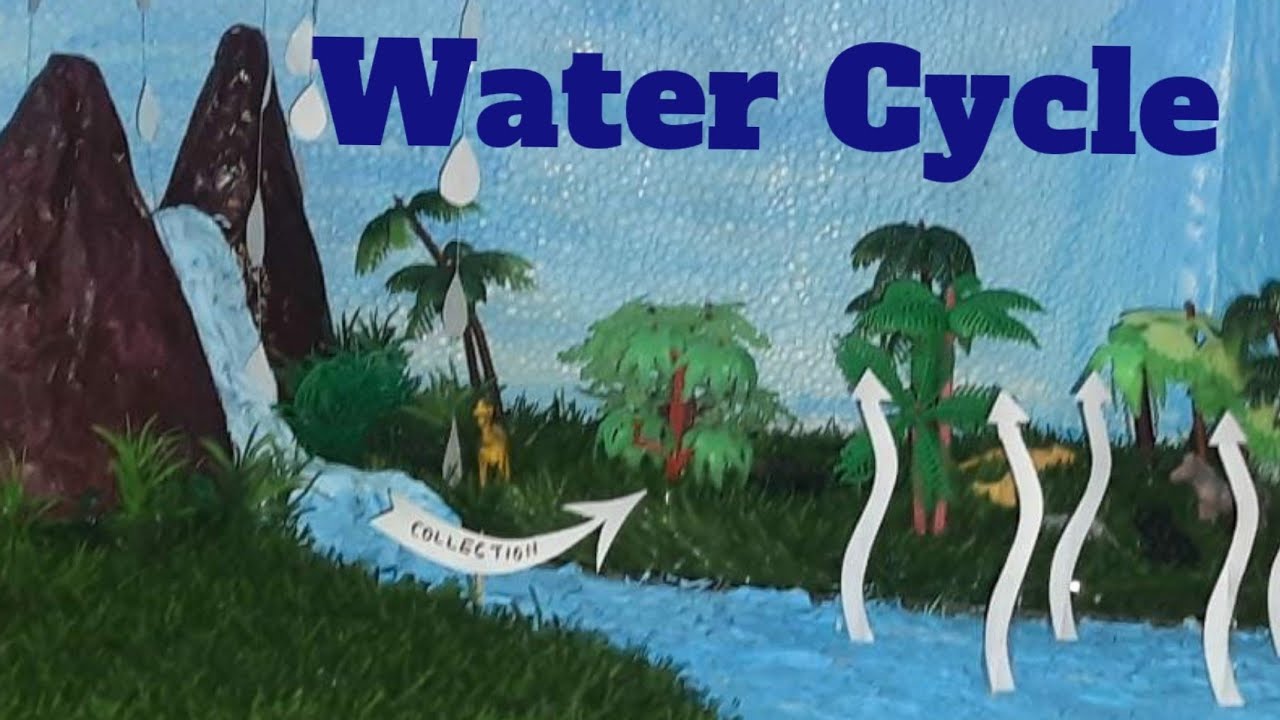 Water cycle model || Easy and creative DIY water cycle project ...