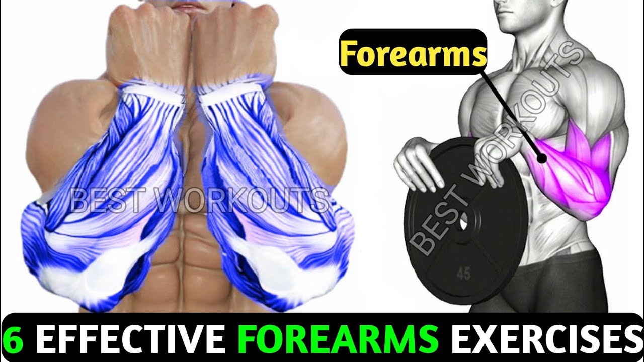 6 Fastest Effective Forearms Exercises - BEST WORKOUTS - YouTube