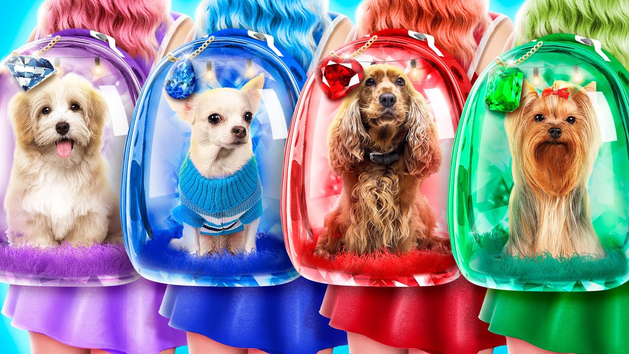 Emerald, Ruby, Diamond and Sapphire Dog! Jewelry Pets in Real Life ...