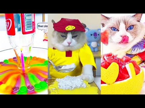 That Little Puff Funny Cooking Fails 😂 I Funniest Cats Compilation Part 2