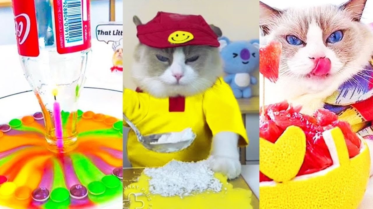 That Little Puff Funny Cooking Fails 😂 I Funniest Cats Compilation Part ...