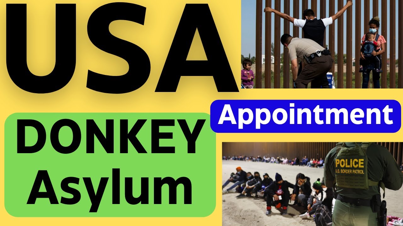 USA Donkey: After Donkey Process at Mexico Border, मेक्सिको सीमा पर ...