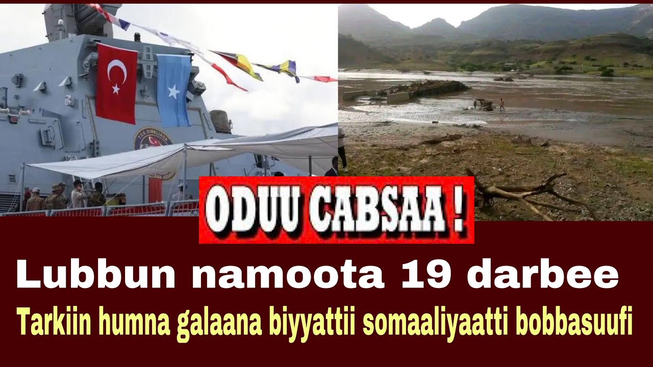 Oduu guyya haraa - Lubbun namoota 19 darbee Tarkiin humna galaana ...