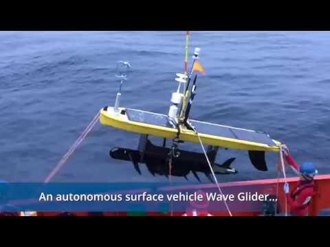 Successful Wave Glider Mission in Southern Ocean - YouTube