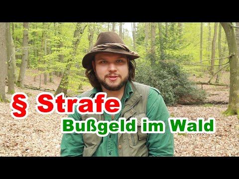 Strafen in Deutschland - was gibt es für Bußgeld im Wald ?