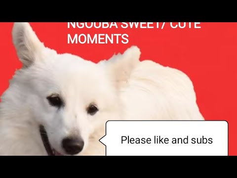 Ngouba sweet/ cute moments ❤️❤️