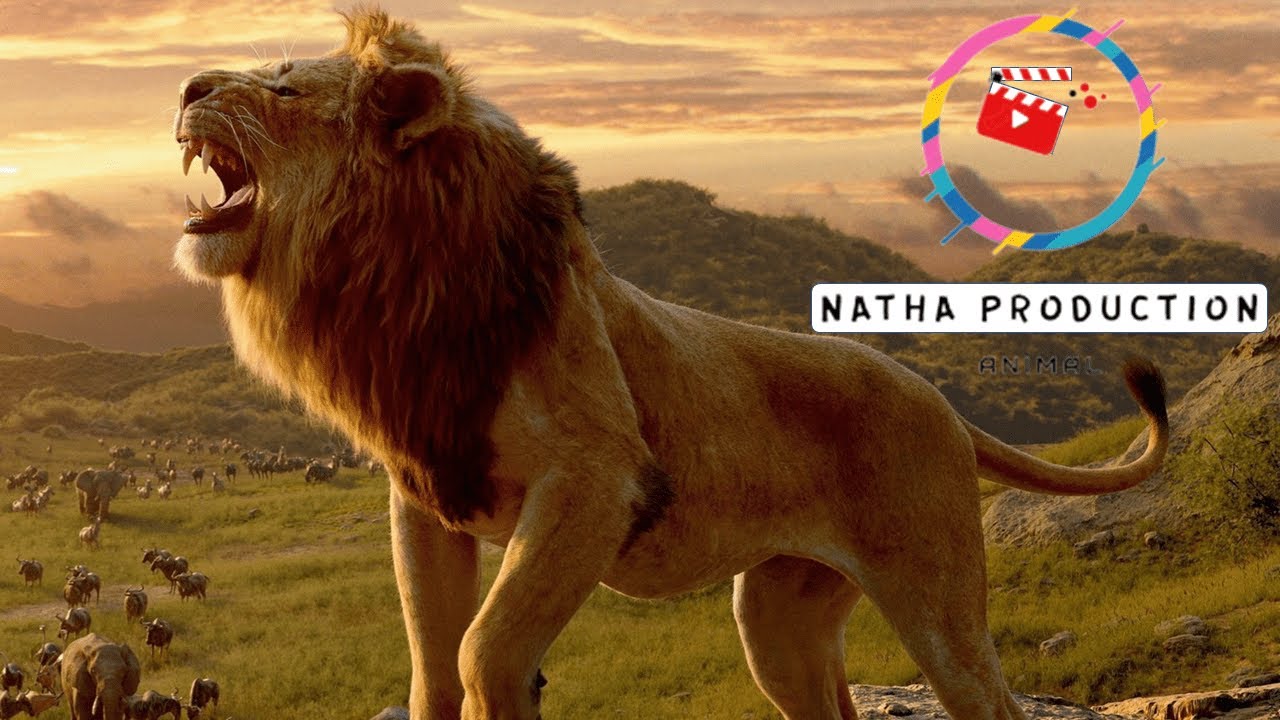 lion roar, ferocious lion, big lion, lion king - Natha's Animal - YouTube