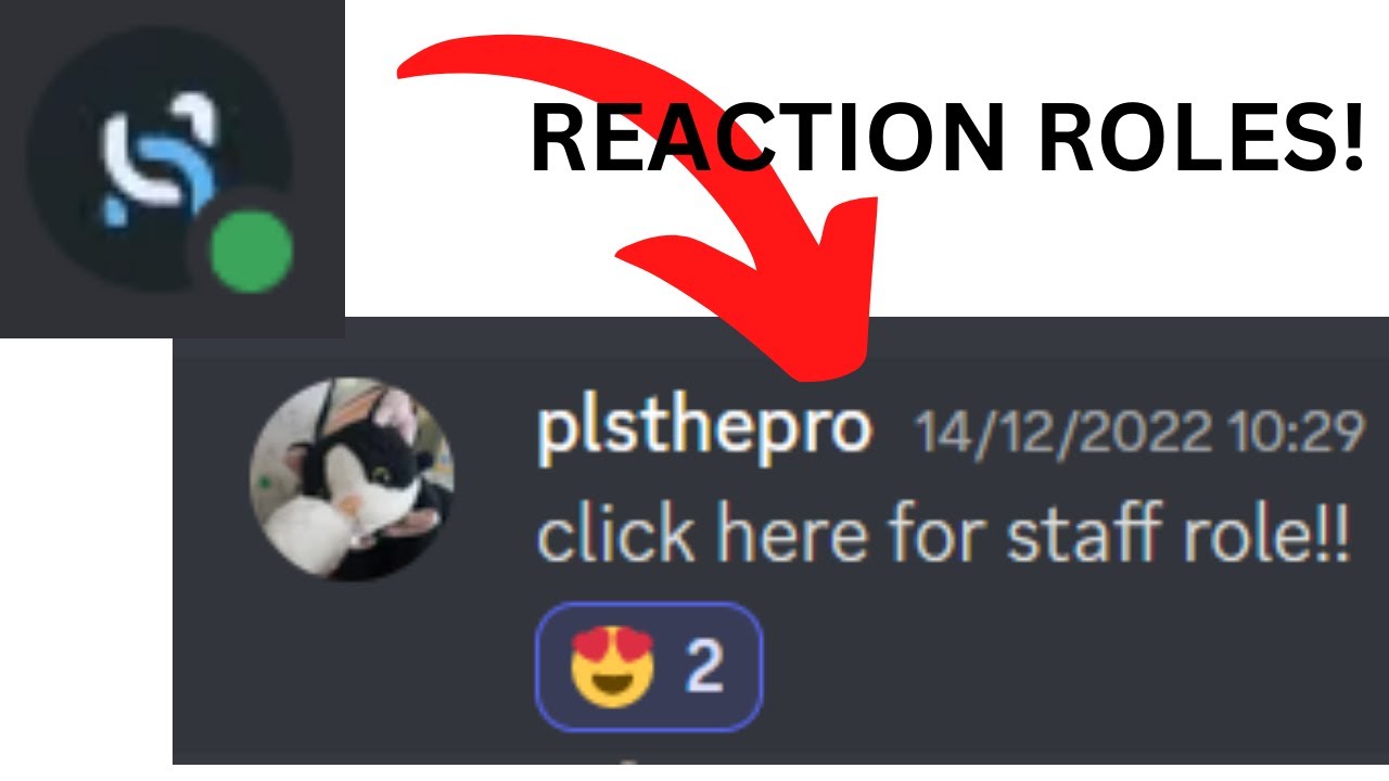 How to make Reaction Roles! - YouTube
