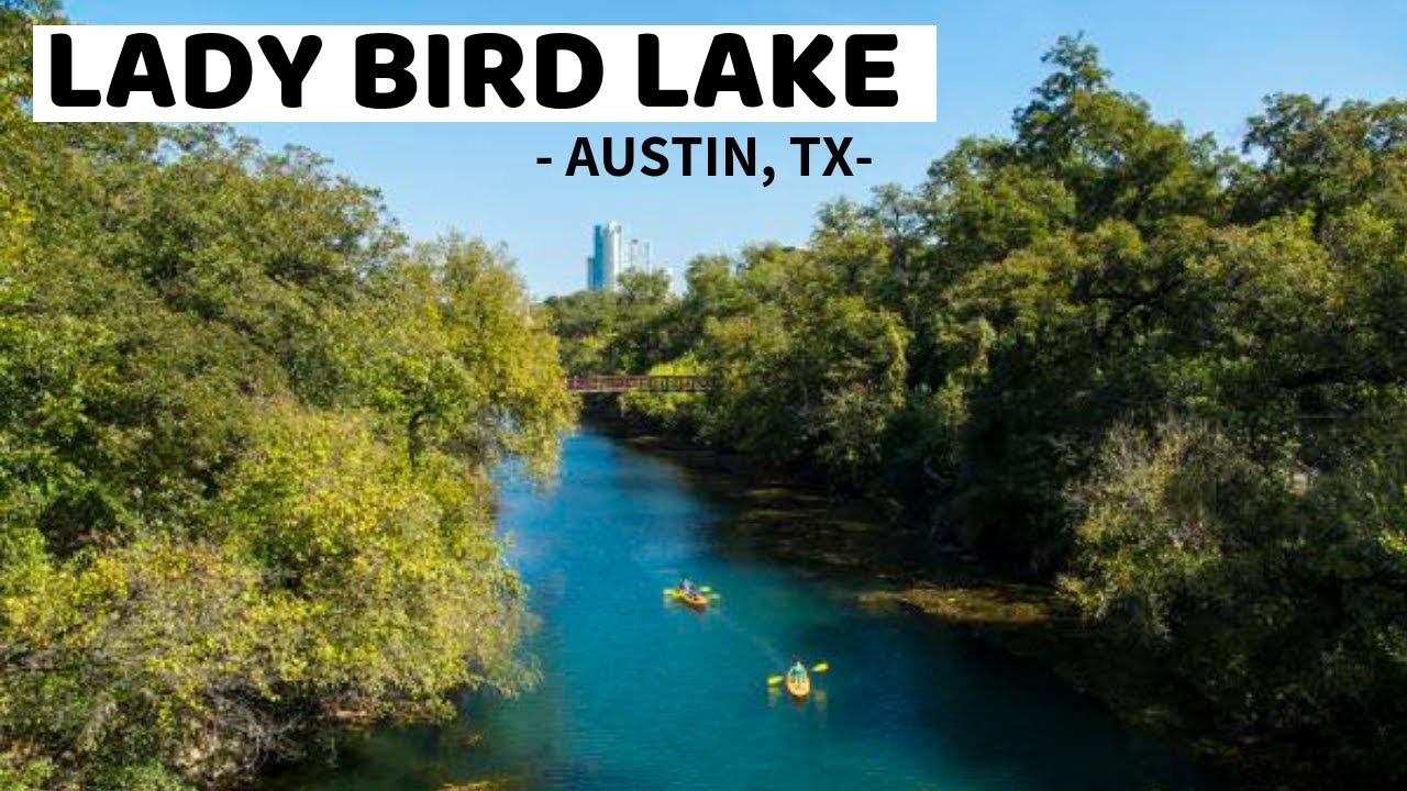 Lady bird lake en Austin, TX. (El lago más bello que encontrarás en ...