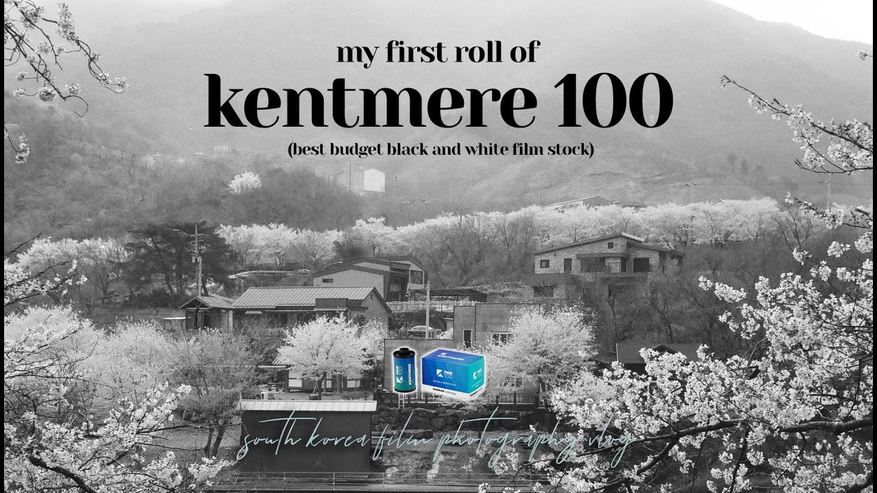 My First Roll of Kentmere Pan 100 (Best Budget Black and White Film ...